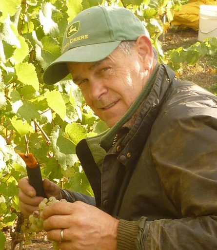 Q&A With: Tom Petzold - Michigan Wine Country